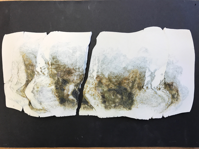 Material developments: Porcelain – Paul Wearing Ceramics