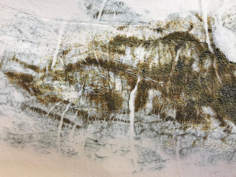Material developments: Porcelain – Paul Wearing Ceramics